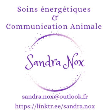 Formations en ligne - Sandra Nox