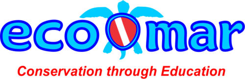 Online classes - ECOMAR