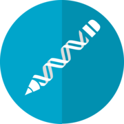 Nancy Poirier - Poirier Roy - Formation